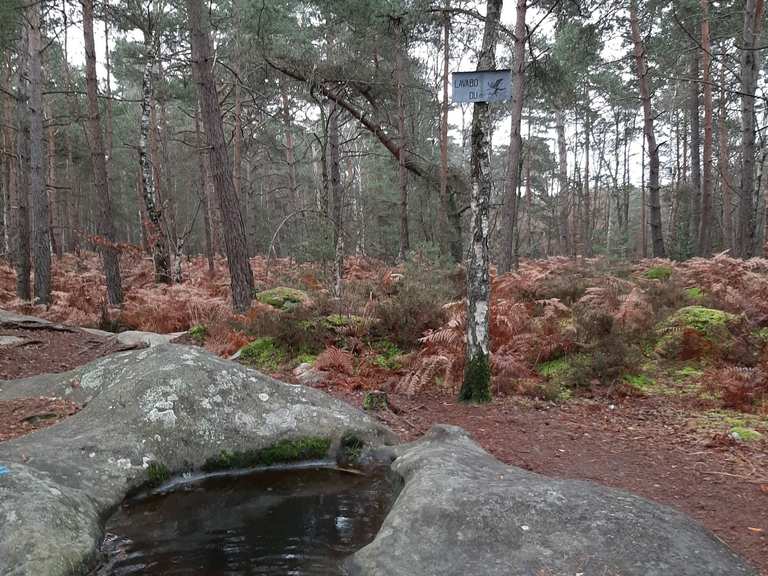 Gorges d'Apremont – Panorama boucle au départ de Barbizon | randonnée ...