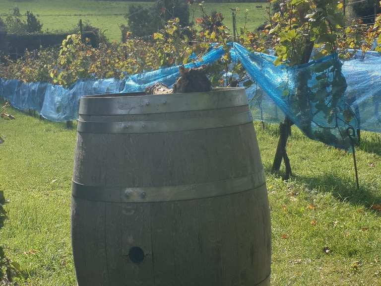 Wayside cross – Hikes & How to Get There | Komoot