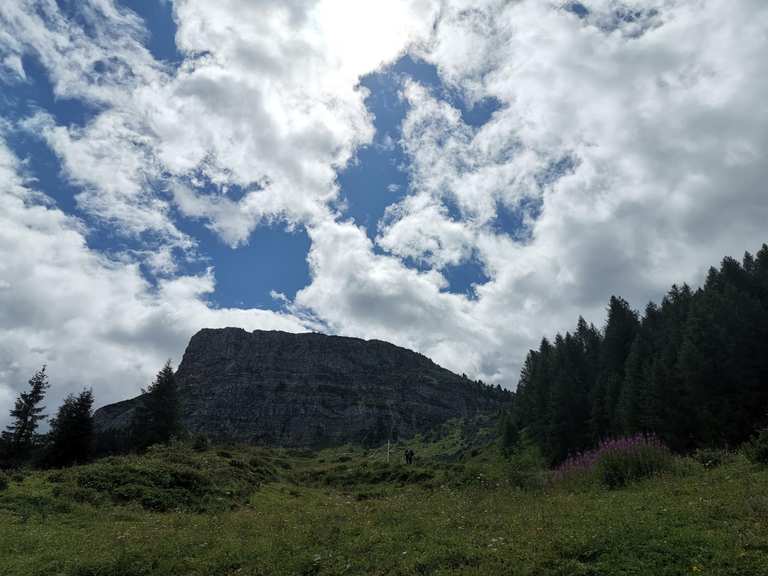 Aussichtspunkt Zillertal – Zillertaler Almtribühne Runde von ...