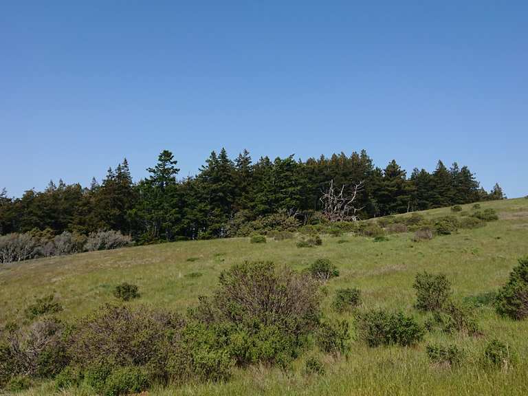 Pomo Canyon Environmental Campground loop via Shell Beach — Sonoma ...