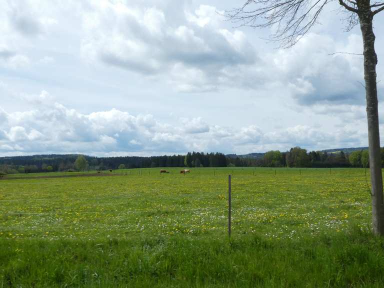 Zwischen Hohenschambach und Kochenthal: Rennradfahren und Rennradtouren ...
