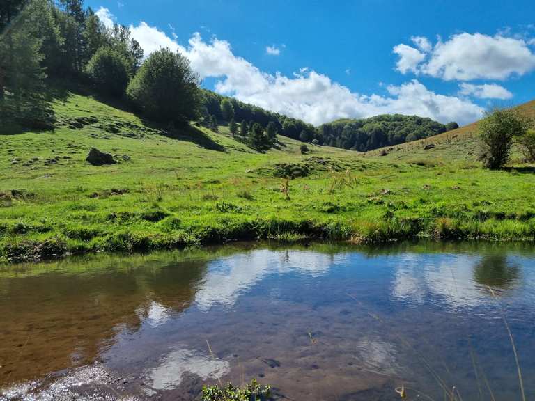 Fiume Tacina: Mountainbike-Touren und -Trails | komoot