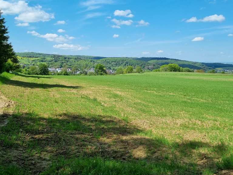 Blick auf Waldesch : Radtouren und Radwege | komoot