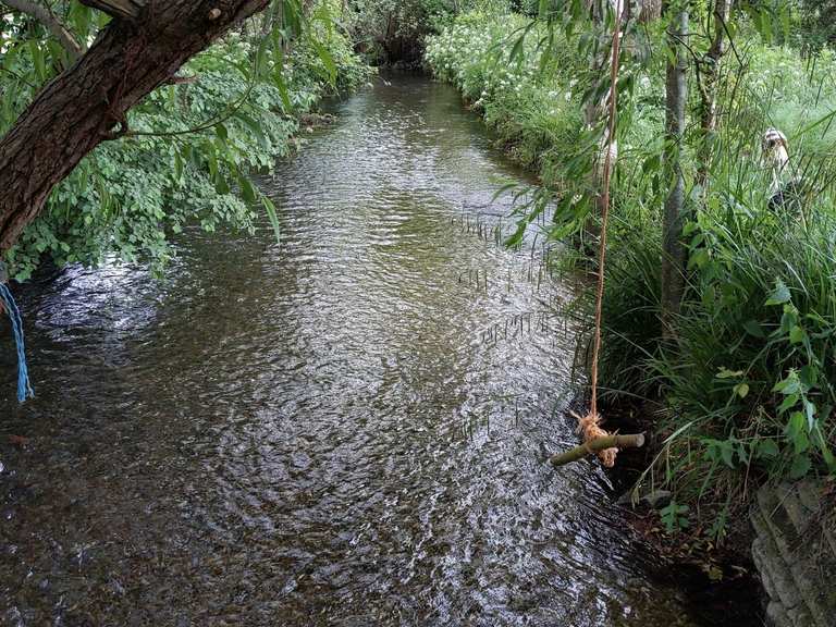 Sulham Woods, Pangbourne & die Schleife des Flusses Themse von ...