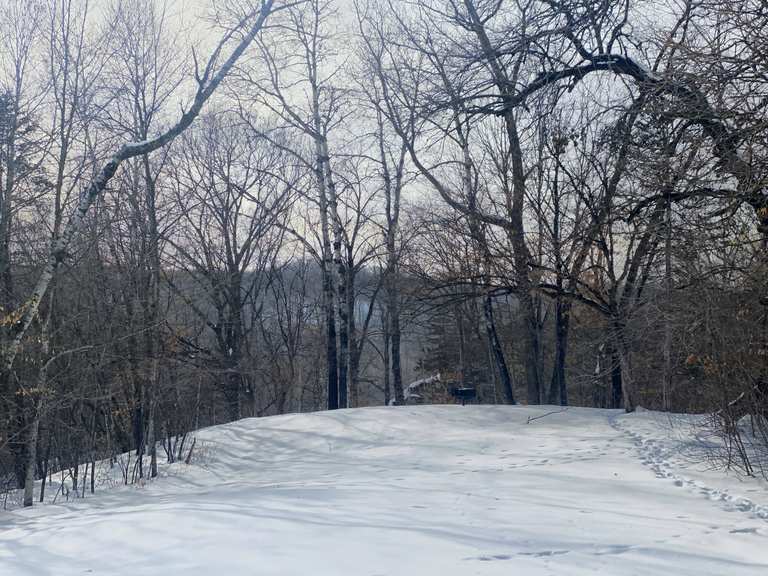 High Island Creek Park Routes for Walking and Hiking | Komoot