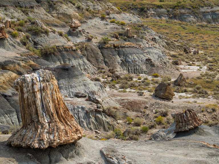 Petrified Forest Loop Trail via Maah Daah Hey Trail — Theodore ...