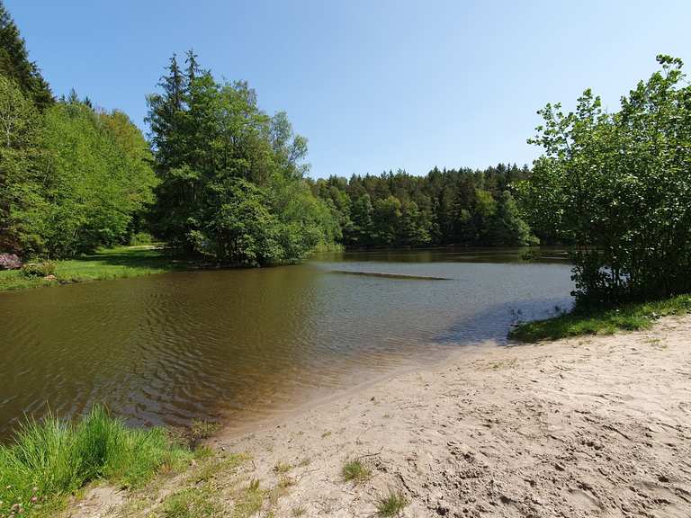 Waldsee Argenthal: Wanderungen und Rundwege | komoot