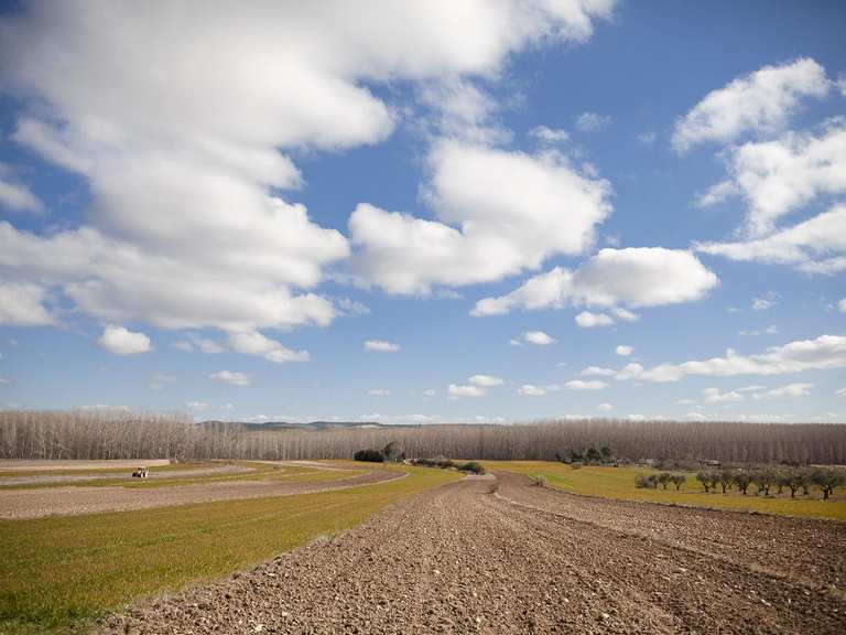 Return to the Jarama River — circular from Talamanca del Jarama | hike ...