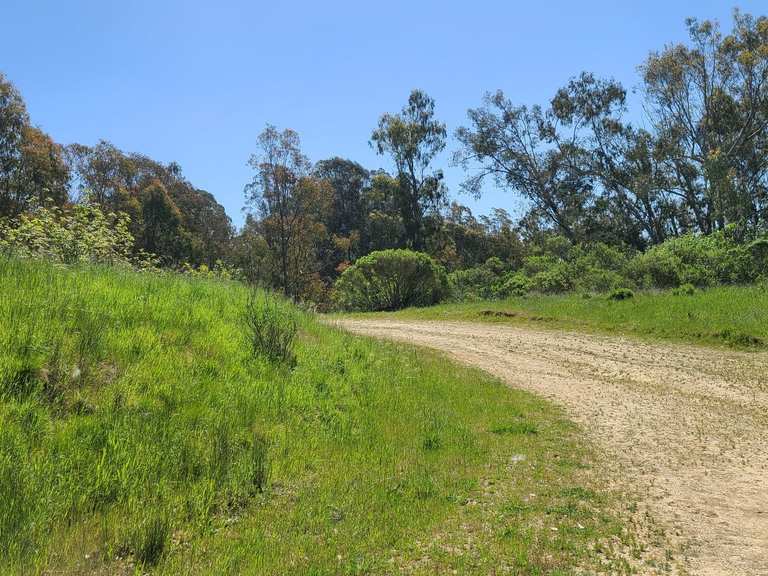Cascade and Brandon Trail loop — Lake Chabot Regional Park | hike | Komoot