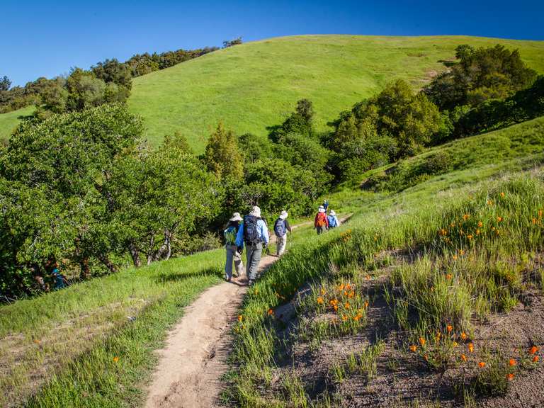Mindego Hill Trail — Russian Ridge Open Space Preserve | hike | Komoot
