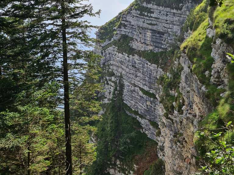 Campolongo Fort and Caverna del Siesòn Trail | trilha | komoot