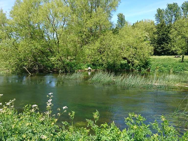 The River Stour & Dudsbury Camp loop from Throop — Stour Valley Nature ...
