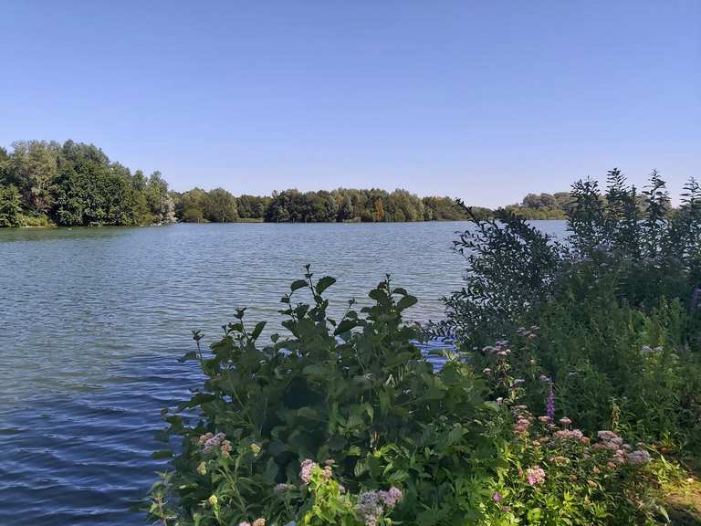 Whitlingham Lake – Whitlingham Great Broad loop from Norwich | hike ...