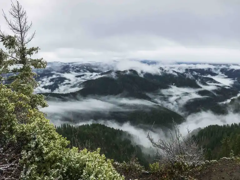 Carrera en bucle de Elk Creek Trail a Elk Mountain | Carrera | Komoot
