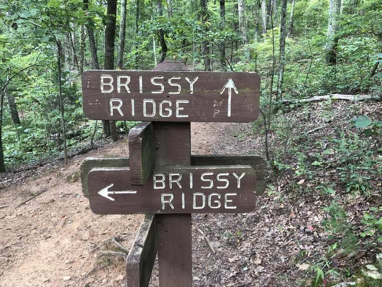 Trilha de corrida em loop no Brissy Ridge — Paris Mountain State Park ...