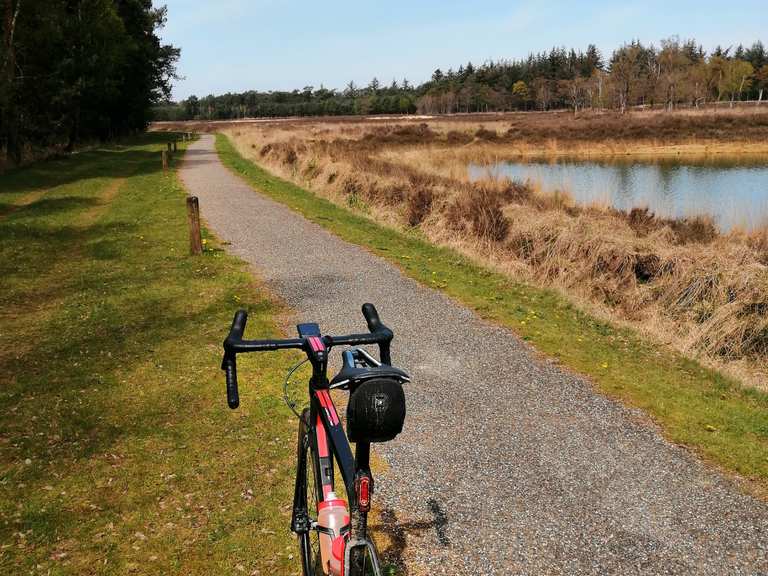 Kronkelen over de Somerense Heide: Rennradfahren und Rennradtouren | komoot