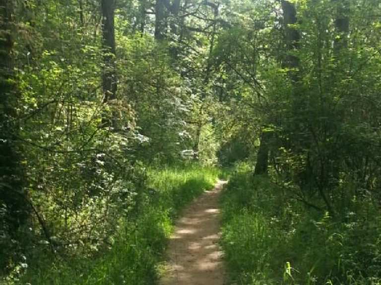 Mount Talbert Nature Park: Touren und Karten | komoot