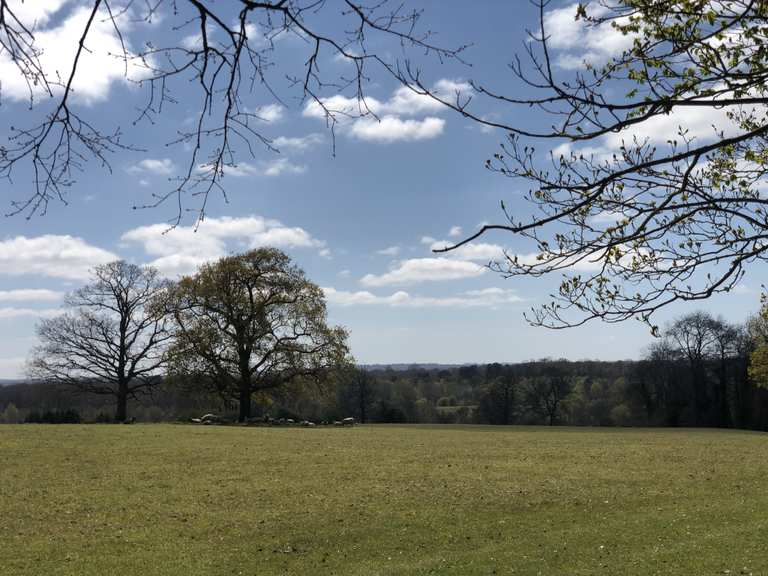 Petts Wood & Hawkwood loop from Petts Wood station | run | Komoot