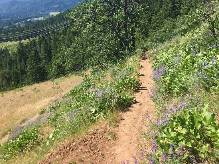 Oak Ridge Trail: Wanderungen und Rundwege | komoot