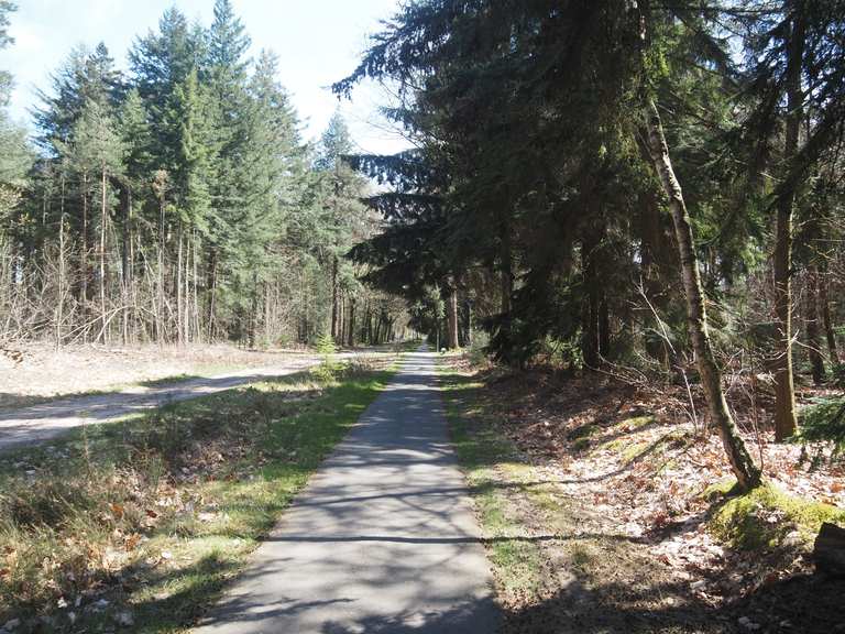 Radweg durch waldreiches Gebiet : Radtouren und Radwege | komoot