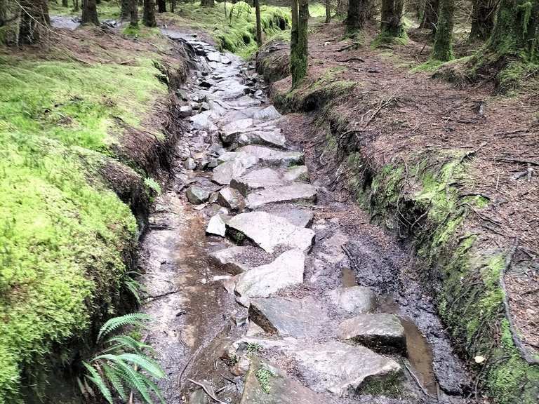 Gisburn Forest Bike Trails - Cycle Routes and Map | Komoot