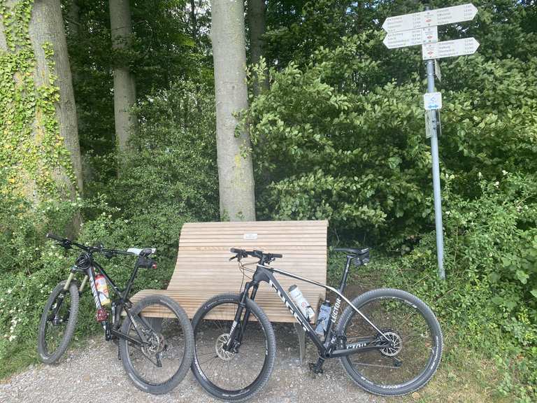 Haselstaude : Radtouren und Radwege | komoot