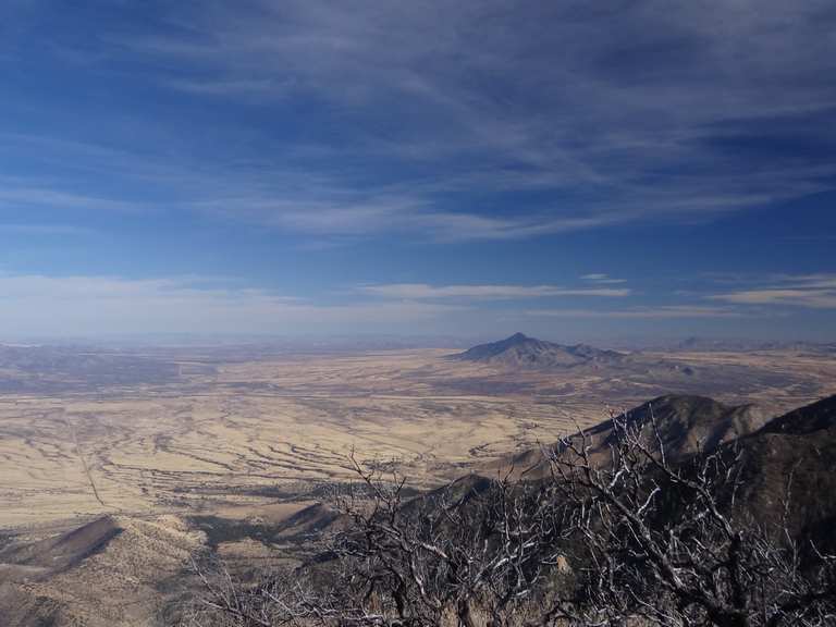 Carr Peak via Old Saw Mill Trail in Miller Peak Wilderness — Coronado ...