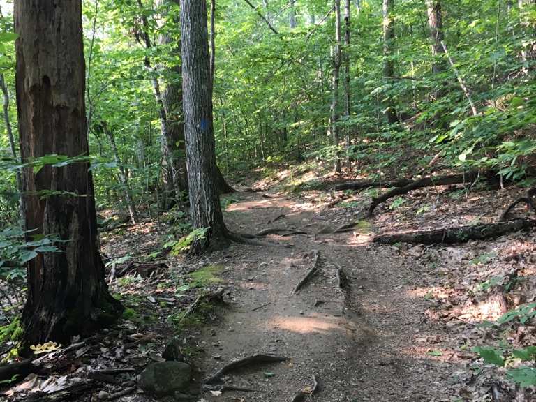 Mount Megunticook via Ridge Trail loop - Camden Hills State Park ...