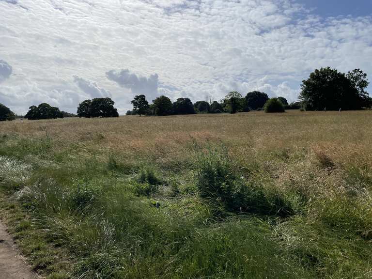 Merrow Downs: Wanderungen und Rundwege | komoot