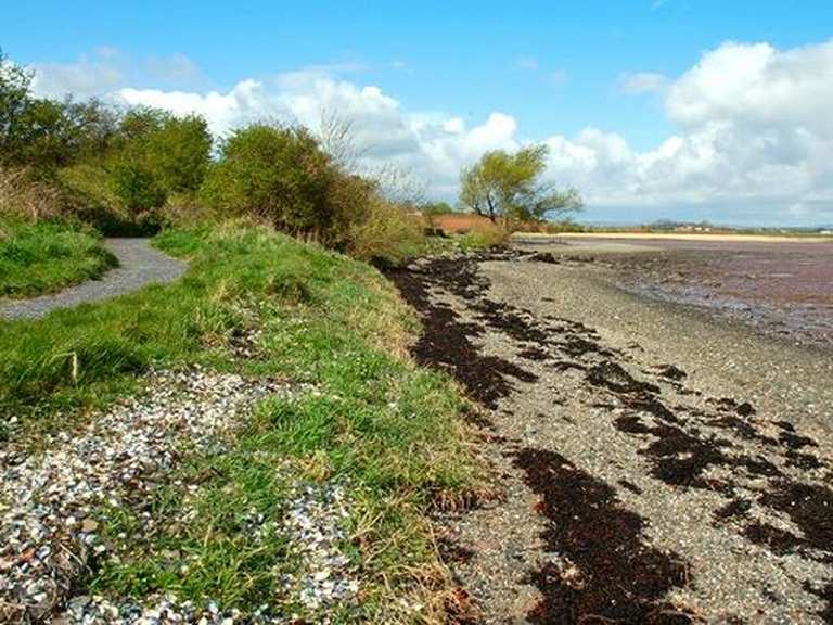 Rough Island loop — Strangford & Lecale AONB | hike | Komoot