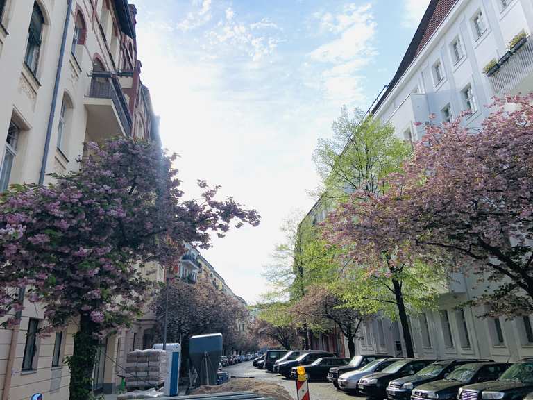 Kirschblütenzeit in der Raabestraße: Touren und Karten | komoot