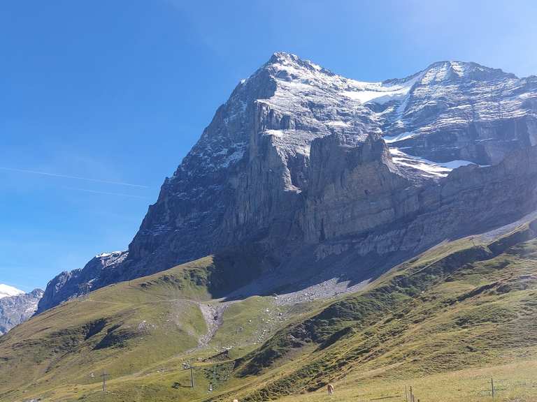 Kleine Scheidegg – Eiger-Trail loop from Alpiglen | hike | Komoot