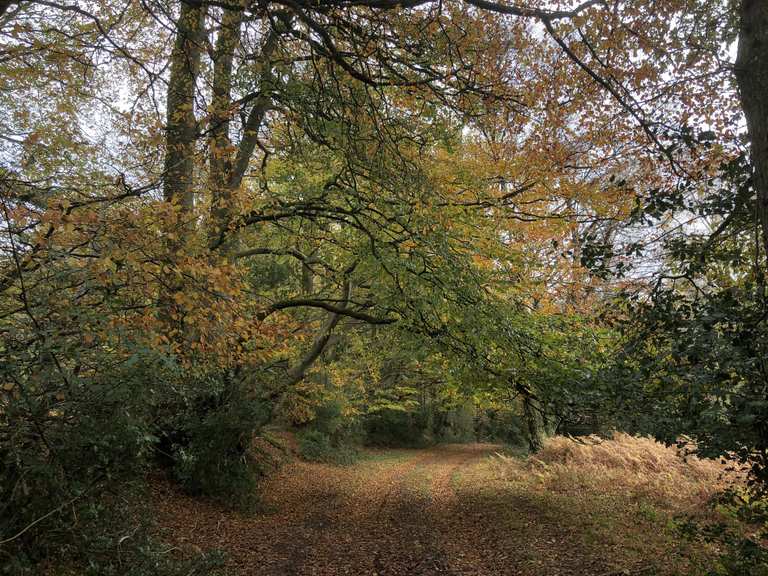 Parson's Lane, The Drove & Wills Neck Schleife — Quantock Hills ...