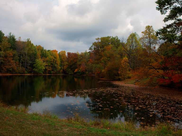 Three Lakes Trail loop run — Morgan-Monroe State Forest | run | Komoot