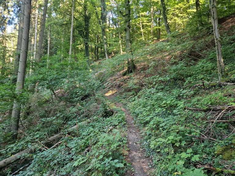 Alternative zur Teerstrasse vom Helperknapp: Mountainbike-Touren | komoot