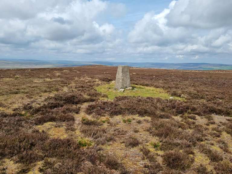 Five Pikes and the Elephant Trees loop from White Kirkley — North ...