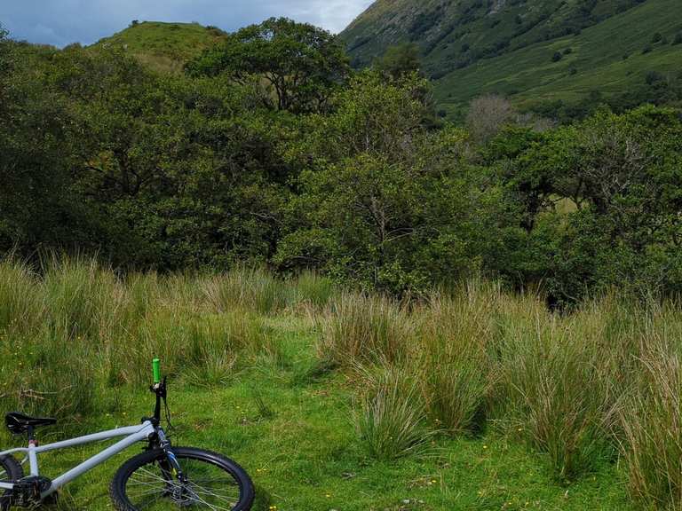 Braveheart movie village - Mountain Bike Trails & Tracks | Komoot
