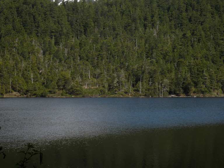 Beaver Lake Loop — Sitka, Tongass National Forest Você quer fazer a ...