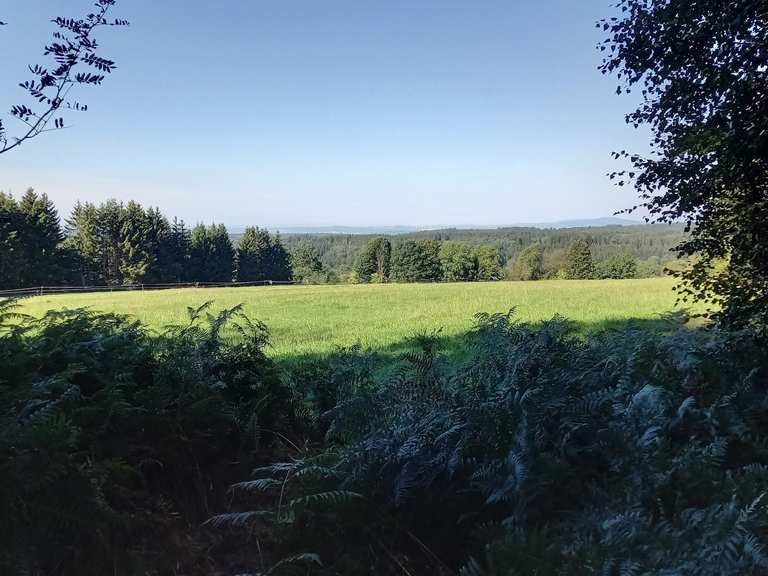 Hochsolling Tower – Hikes & How to Get There | Komoot