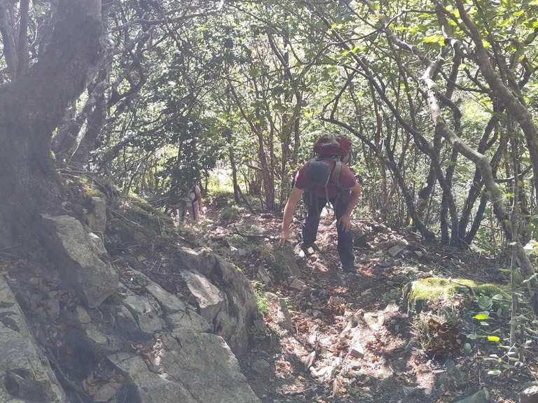 Vue sur le lac des Perches: Wanderungen und Rundwege | komoot