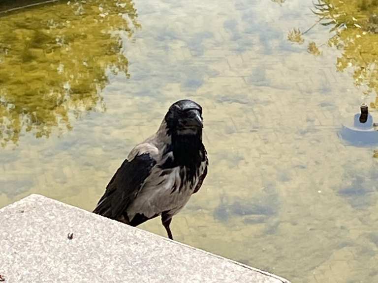 Nørre Herlev Kirke - Kalkmalereien - Cycle Routes and Map | Komoot