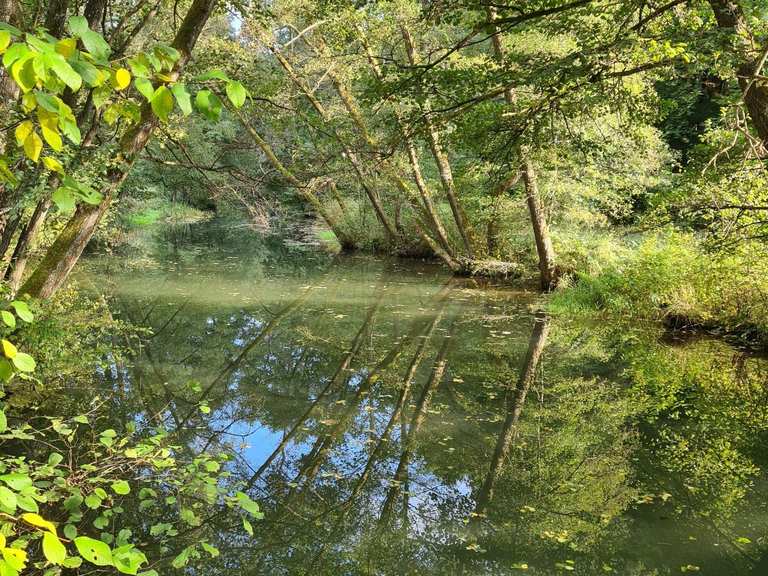 Bridge View of the Schwarze Laber Routes for Walking and Hiking | Komoot