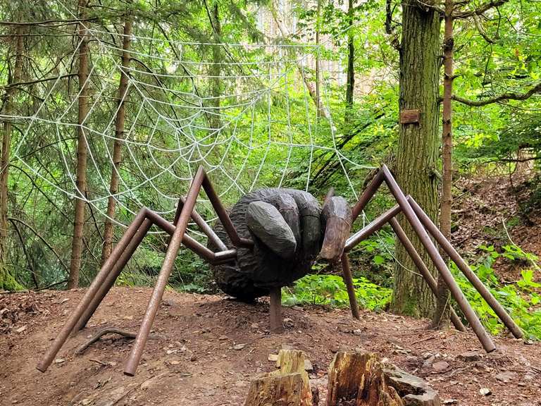 Auenlandweg Blickhausen – Erlebniswege Sieg | Wanderung | Komoot