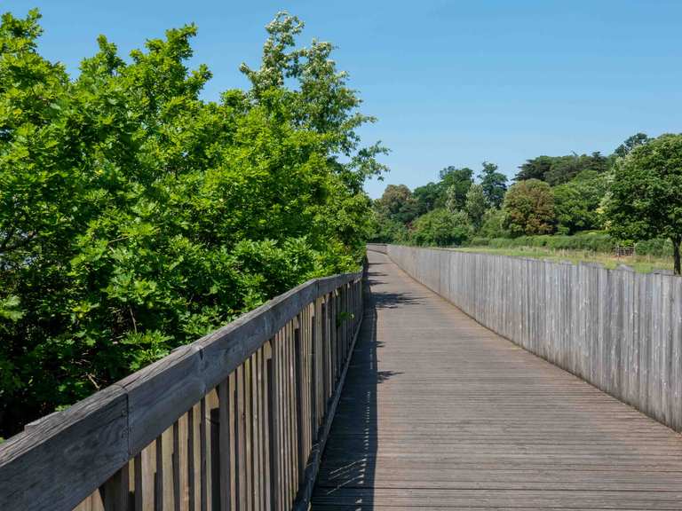 Exe Estuary Trail Boardwalk - Cycle Routes and Map | Komoot
