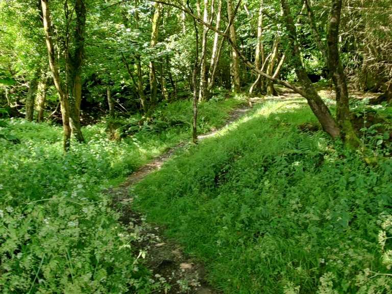 Saggart Hill loop, County Dublin. | hike | Komoot