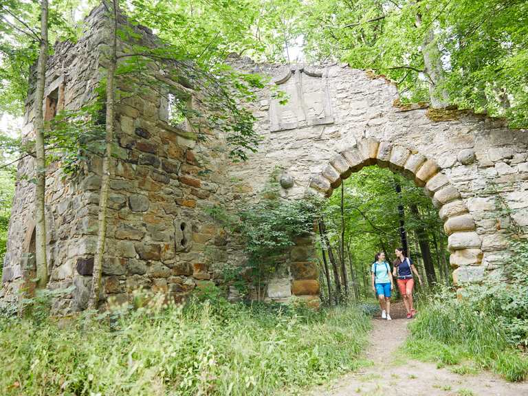 Landschaftsgarten Bettenburg: Wanderungen und Rundwege | komoot
