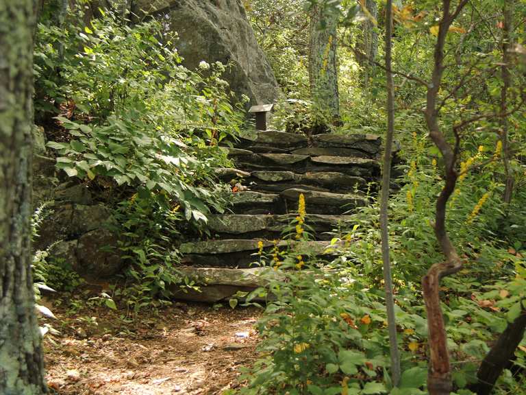Loop da trilha Greenstone — Blue Ridge Parkway | caminhada | Komoot