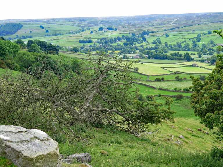 Aussicht vom Cuckoo Hill: Wanderungen und Rundwege | komoot