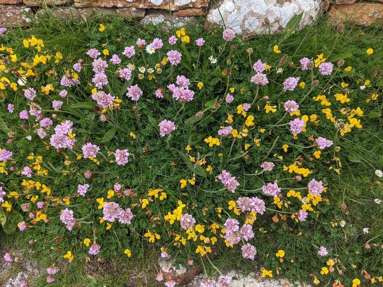 Warebeth: Wanderungen und Rundwege | komoot