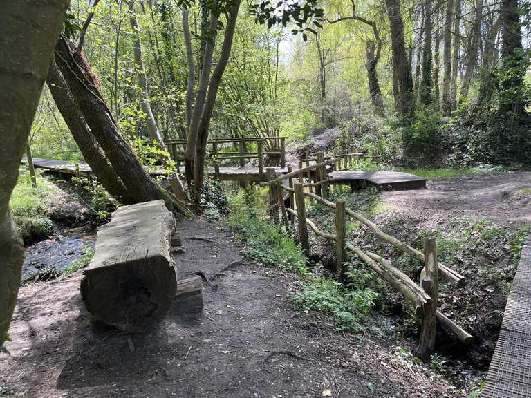 Bruggetje over de beek: Wanderungen und Rundwege | komoot